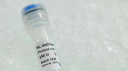 ArcticZymes dsDNase & Enzymes | TATAA Official Distributor – shop.tataa