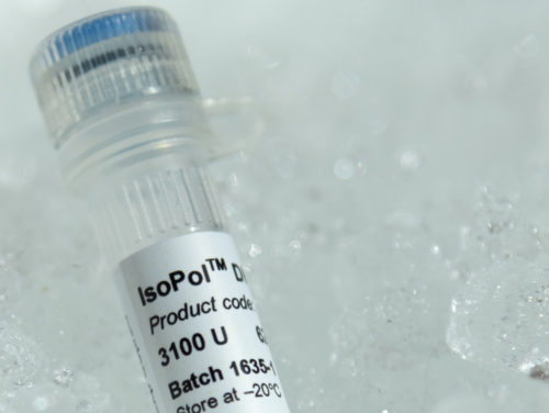 ArcticZymes IsoPol™ DNA Polymerases | TATAA Official Distributor – shop ...